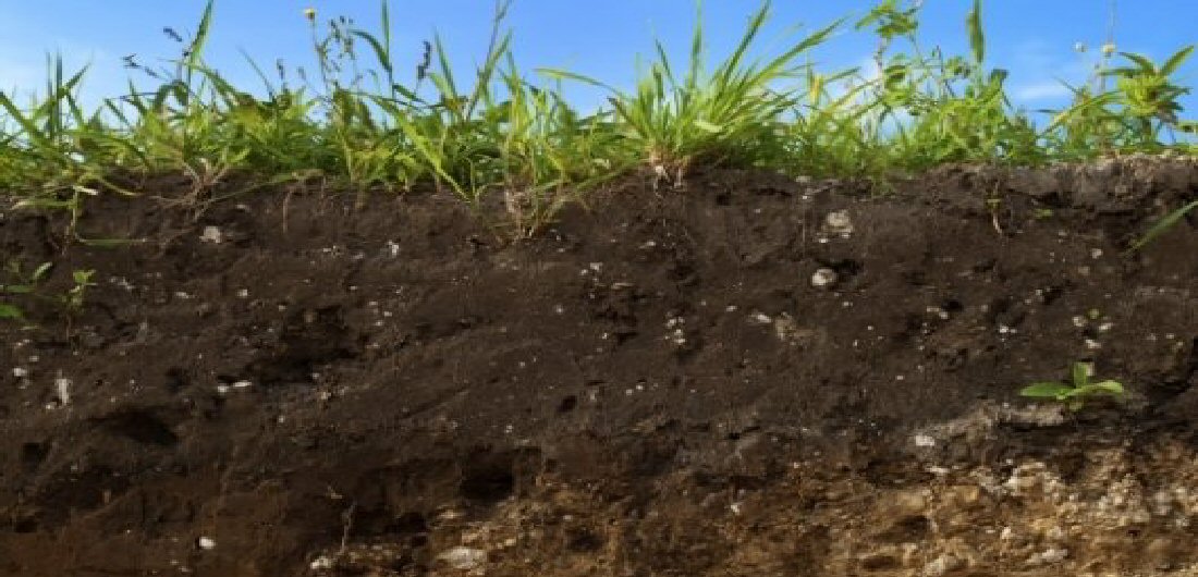 Thema Water en Bodem